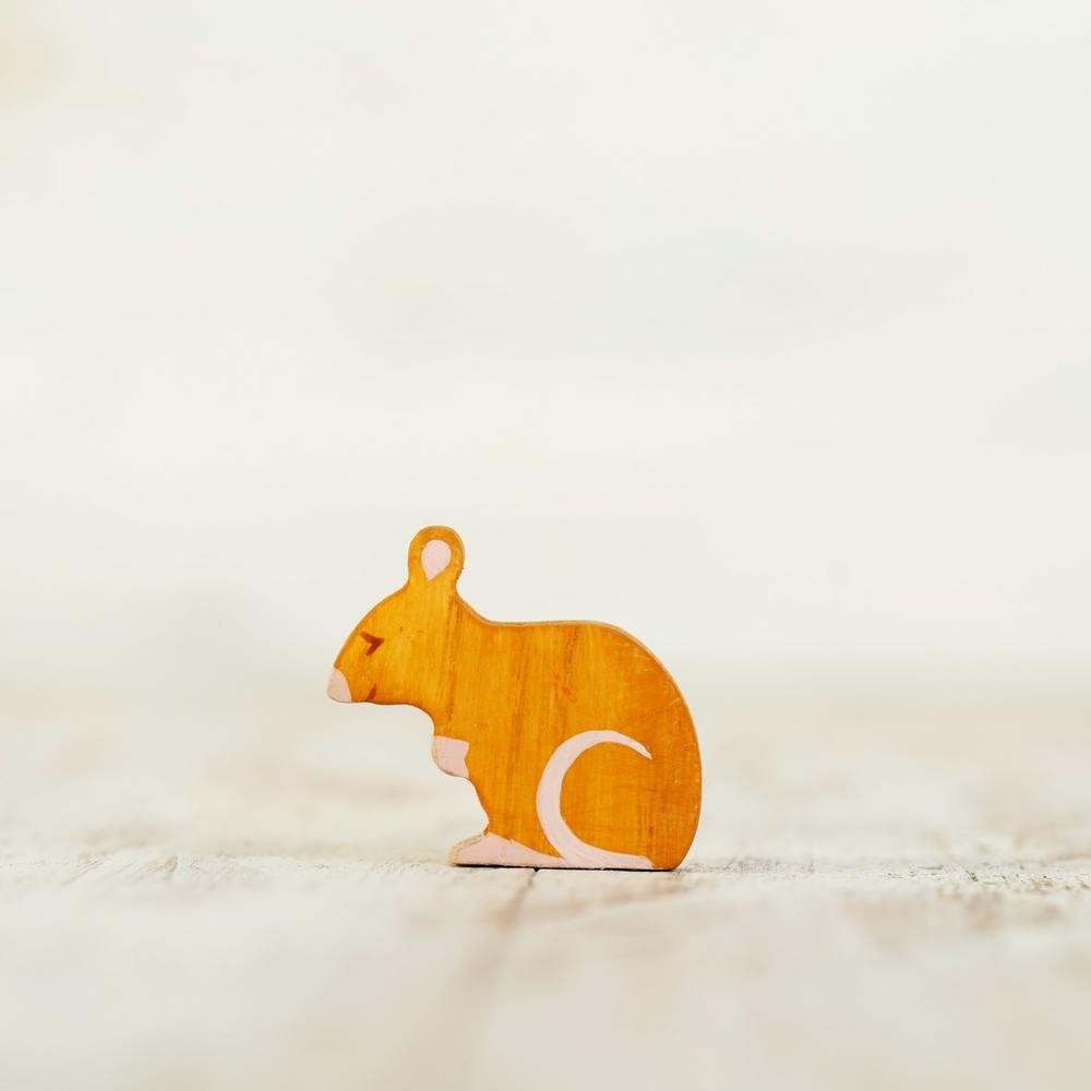 Wooden Mouse Toy - WoodenCaterpillar Toys