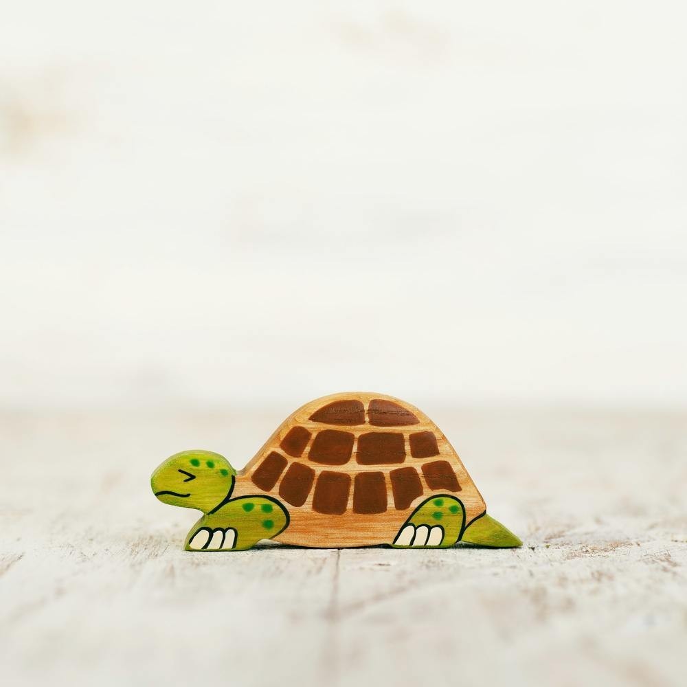 Wooden Tortoise Toy - WoodenCaterpillar Toys